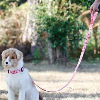 China Custom OEM Nylon Dog Training Leash 1 inch x 4 feet Silk Screen Pattern Pet Lead for sale