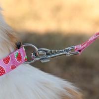 China Custom OEM Nylon Dog Training Leash 1 inch x 4 feet Silk Screen Pattern Pet Lead for sale