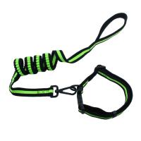 China Easy Walking Pet Traction Rope Elastic Bungee Retractable Dog Lead for sale