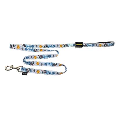 China Led Luminating Pet Traction Rope Rechargeable Dog Harness Leash for sale