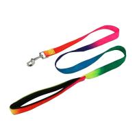 China Nylon Elastic Pet Traction Rope Dog Collars Leashes With Neoprene Padded Handle for sale