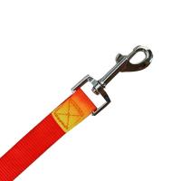 China Nylon Elastic Pet Traction Rope Dog Collars Leashes With Neoprene Padded Handle for sale