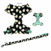 China Velvet Walking Cat Harness Vest for sale