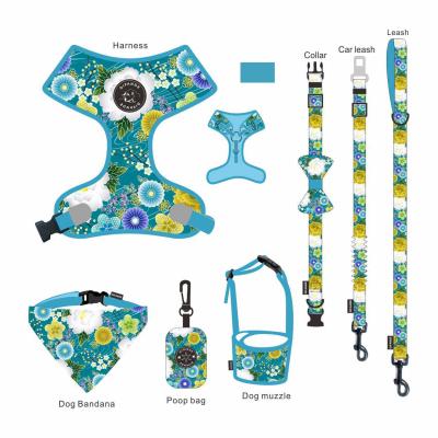 China No Neck Injuries Leather Dog Harness Set 7 in 1 Customizable Fit Resist Fraying Sizes XS to L for sale