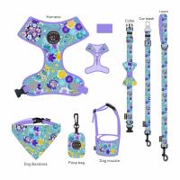 China No Neck Injuries Leather Dog Harness Set 7 in 1 Customizable Fit Resist Fraying Sizes XS to L for sale