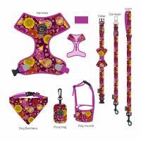 China Luxury Dog Collar Leash Harness Set 6 Piece Design Sweat Resistant for sale