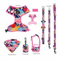China Luxury Dog Collar Leash Harness Set 6 Piece Design Sweat Resistant for sale