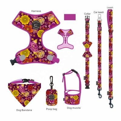 China 7 in 1 Nylon Dog Harness and Leash Set Breathable Mesh Adjustable Sizes XS to L for sale