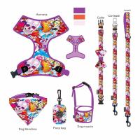 China 7 Piece Small Dog Harness Set M Size Adjustable Collar Leash Ribbon Decoration for sale
