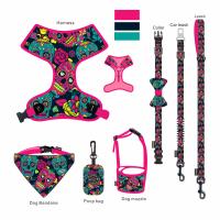 China 7 Piece Small Dog Harness Set M Size Adjustable Collar Leash Ribbon Decoration for sale