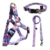 China Custom Logo Hunter Dog Leashes Cute Soft Flamingo Style Polyester for sale