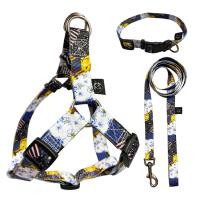 China 3 in 1 Dog Harness Set Nylon Polyester Pet Collar Leash for Walking Large Dogs 500 pcs MOQ for sale