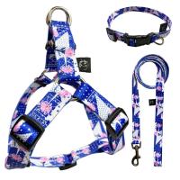 China 3 in 1 Dog Harness Set Nylon Polyester Pet Collar Leash for Walking Large Dogs 500 pcs MOQ for sale