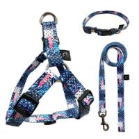 China 3 in 1 Dog Harness Set Nylon Polyester Pet Collar Leash for Walking Large Dogs 500 pcs MOQ for sale