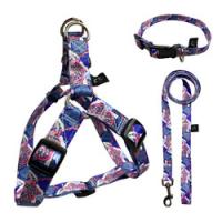 China 3 in 1 Dog Harness Set Nylon Polyester Pet Collar Leash for Walking Large Dogs 500 pcs MOQ for sale