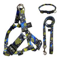China 3 in 1 Dog Harness Set Nylon Polyester Pet Collar Leash for Walking Large Dogs 500 pcs MOQ for sale