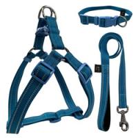 China Personalized Buckle Waterproof Dog Leash for sale