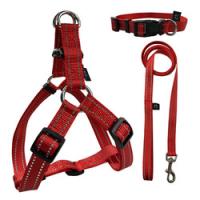 China Personalized Buckle Waterproof Dog Leash for sale