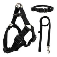 China Padded Dog Harness Set Soft Durable No Pull Dog Harness Easy To Clean for sale
