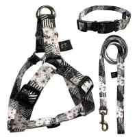 China Adjustable Dog Harness Set Polyester Dog Leash Collar For Pet Animal for sale