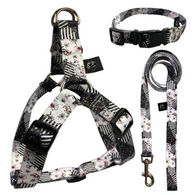 China Adjustable Dog Harness Set Polyester Dog Leash Collar For Pet Animal for sale