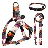 China Adjustable Dog Harness Set Polyester Dog Leash Collar For Pet Animal for sale