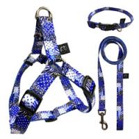 China Adjustable Dog Harness Set Polyester Dog Leash Collar For Pet Animal for sale