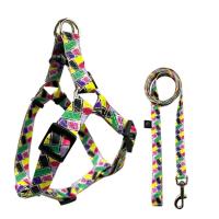 China Custom Soft No Pull Dog Harness Vest Set Adjustable Designer Harness Leash 3 Piece Polyester for sale