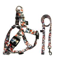 China Custom Soft No Pull Dog Harness Vest Set Adjustable Designer Harness Leash 3 Piece Polyester for sale