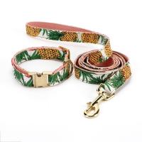 China Durable Reflective Harness Leash Set Comfortable Dog Collar Leash for sale