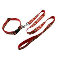 China Double Layer Harness Leash Set Waterproof Pet Collar Leash For Dog for sale