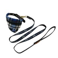 China Double Layer Harness Leash Set Waterproof Pet Collar Leash For Dog for sale