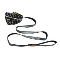 China Double Layer Harness Leash Set Waterproof Pet Collar Leash For Dog for sale