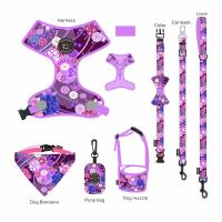 China 7 in 1 No Pull Dog Harness Set with Leash and Collar Breathable Mesh 900D Nylon for sale