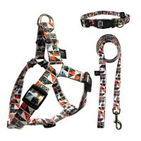 China Woven Logo Dog Harness Set Multiple Colour Polyester Dog Harness for sale