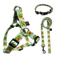 China Heavy Duty Collar Leash Harness Set Puppy Adjustable Flower Pattern Pet Lope for sale