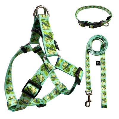 China Flower Pattern Dog Harness Set Puppy Cat Sublimation Dog Lead Set for sale