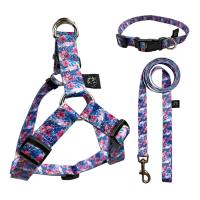 China Flower Pattern Dog Harness Set Puppy Cat Sublimation Dog Lead Set for sale