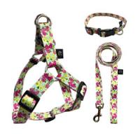 China Flower Pattern Dog Harness Set Puppy Cat Sublimation Dog Lead Set for sale
