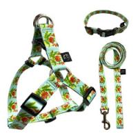 China Flower Pattern Dog Harness Set Puppy Cat Sublimation Dog Lead Set for sale