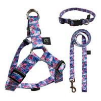 China Flower Pattern Dog Harness Set Puppy Cat Sublimation Dog Lead Set for sale