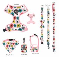 China Custom Logo Collar Leash Harness Set Polyester Dog Harness Leash for sale