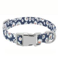 China Odm Oem Personalized Dog Collars And Leashes With Name Plate for sale