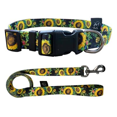 China Custom Design Harness Leash Set Easy To Maintain Puppy Lead Set for sale