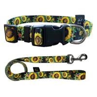 China Adjustable Flower Design Dog Puppy Collar and Lead Leash Set 2 Colors Polyester Pet Walking Set for sale