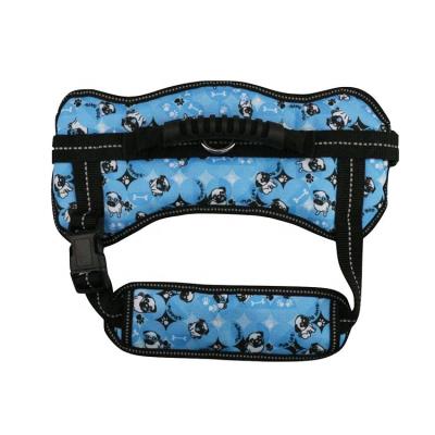 China Adjustable Size Pet Vest Harness Mesh Design Leather Dog Harness for sale
