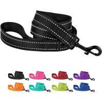 China Heavy Duty Nylon Dog Leash for sale