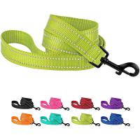 China Heavy Duty Nylon Dog Leash for sale