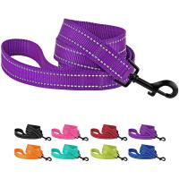 China Heavy Duty Nylon Dog Leash for sale