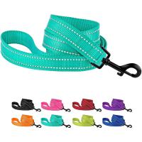 China Heavy Duty Nylon Dog Leash for sale